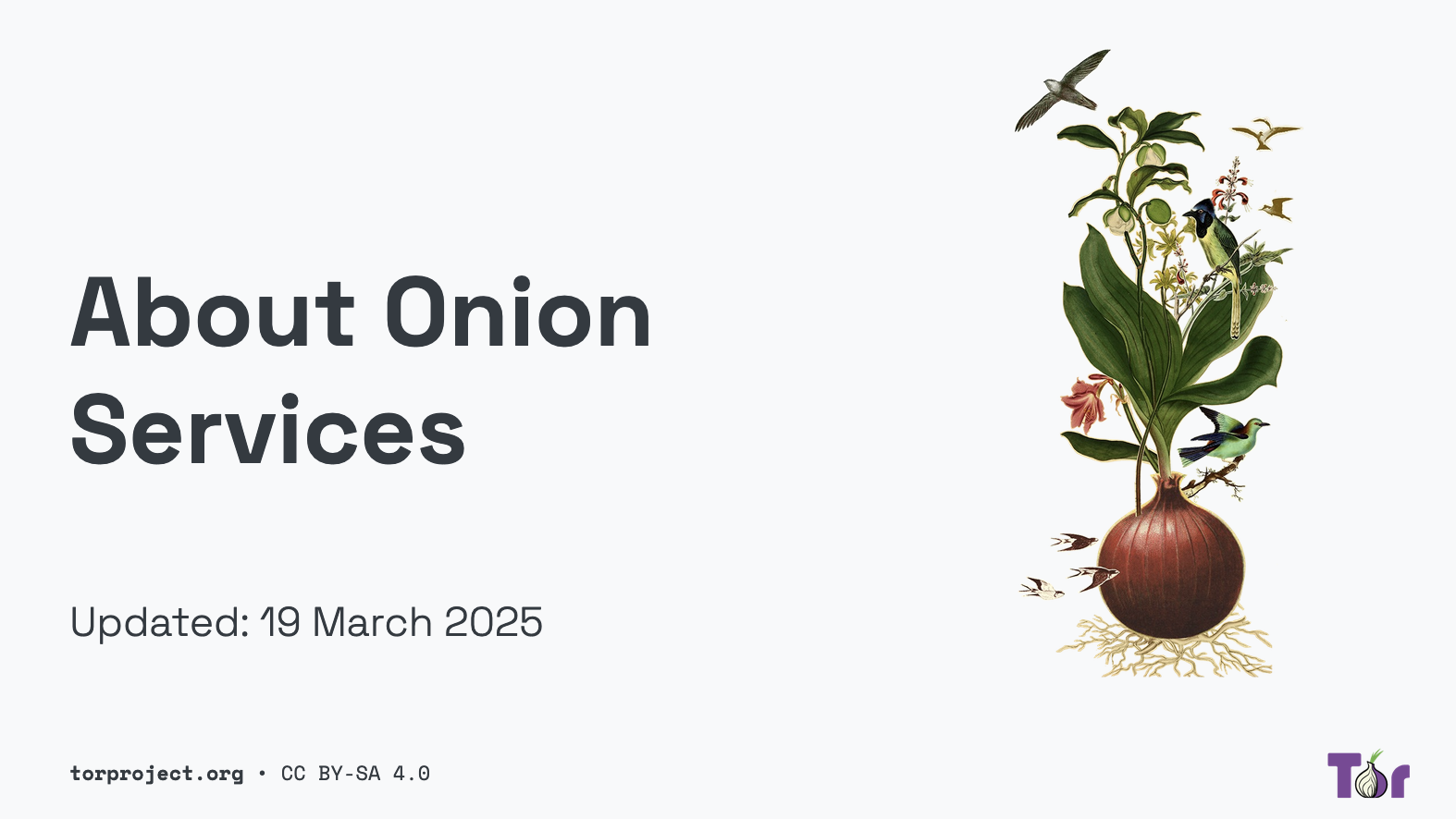 Tor Project | Training Resources